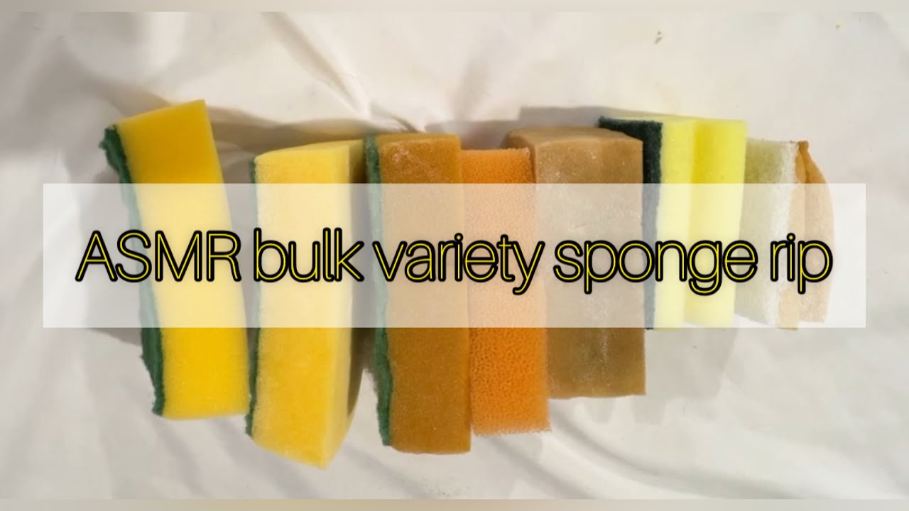 ASMR bulk variety sponge rip. Ripping dry, damp, bleached, powder ...