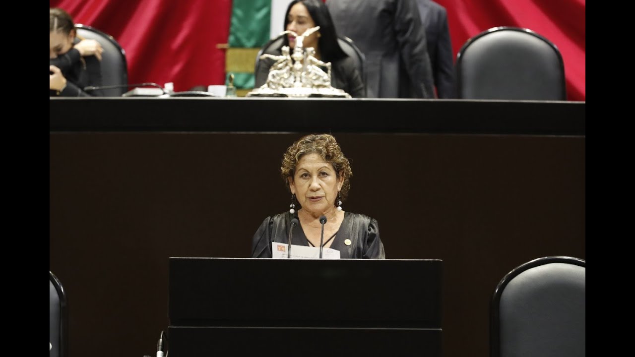 Dip. Dionicia Vázquez García (PT) / Efeméride por la promulgación del ...