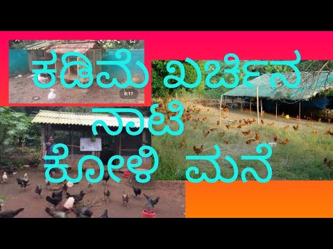 Nati Koli shed in Karnataka Kannada - YouTube