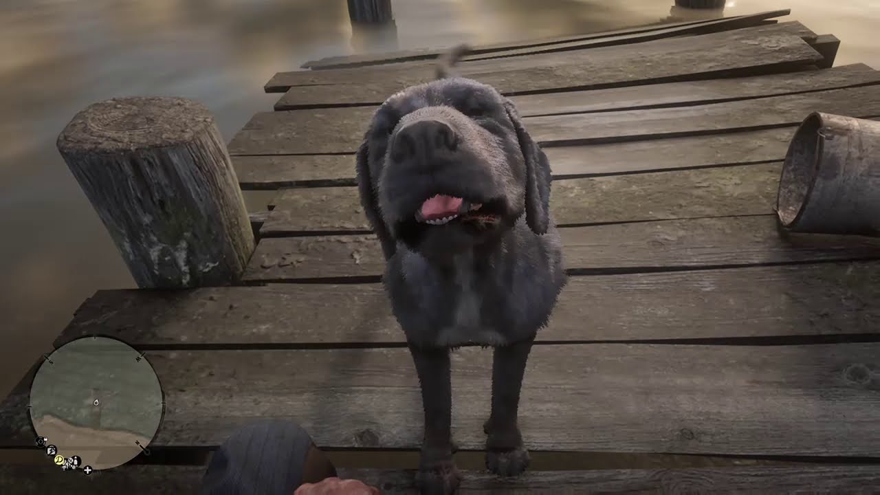 Red Dead Redemption 2 - Cain, O Cachorro do acampamento - YouTube