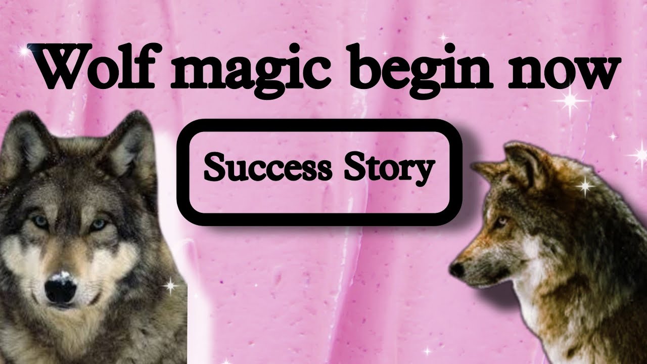 WOLF-MAGIC-BEGIN-NOW SUCCESS STORY #wolfmagicbeginnow (For urgent help ...