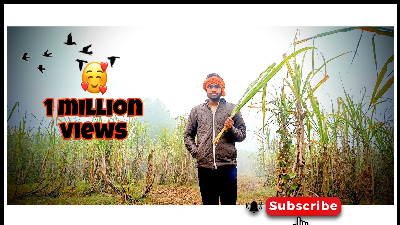 The Ansh 08 इस लो दर्शन कर लो - YouTube