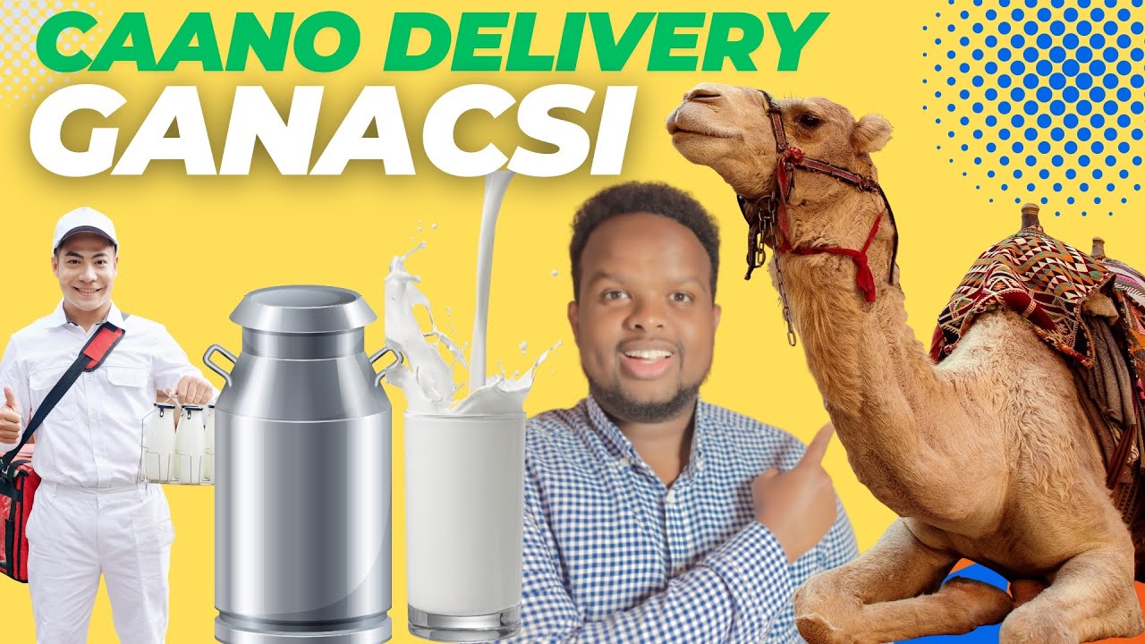 GANACSI SUUQA SOOMAALIDA LOOGA BAAHANYAHAY! 🥛 🐪🛵 - YouTube