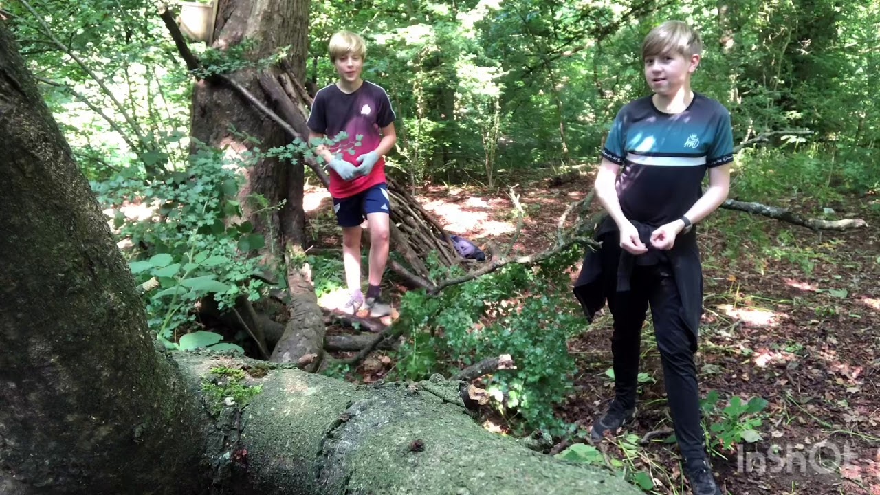 Den building pt 2 - YouTube