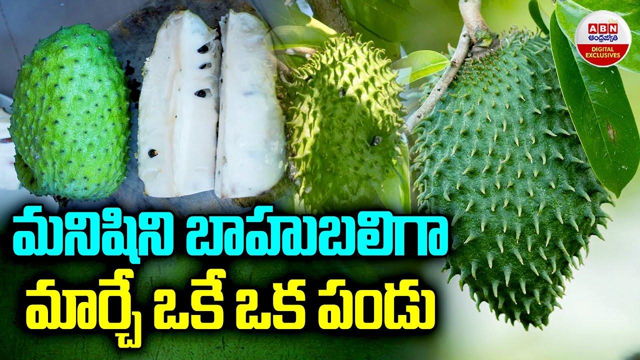 Hanumanphal Fruit :మనిషిని బాహుబలిగా మార్చే ఒకే ఒక పండు | Laxman Phal ...