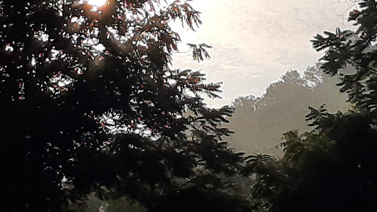 GOOD MORNING AT THE CAMPER THIS MORNING COME JOIN ME LET'S CHAT - YouTube