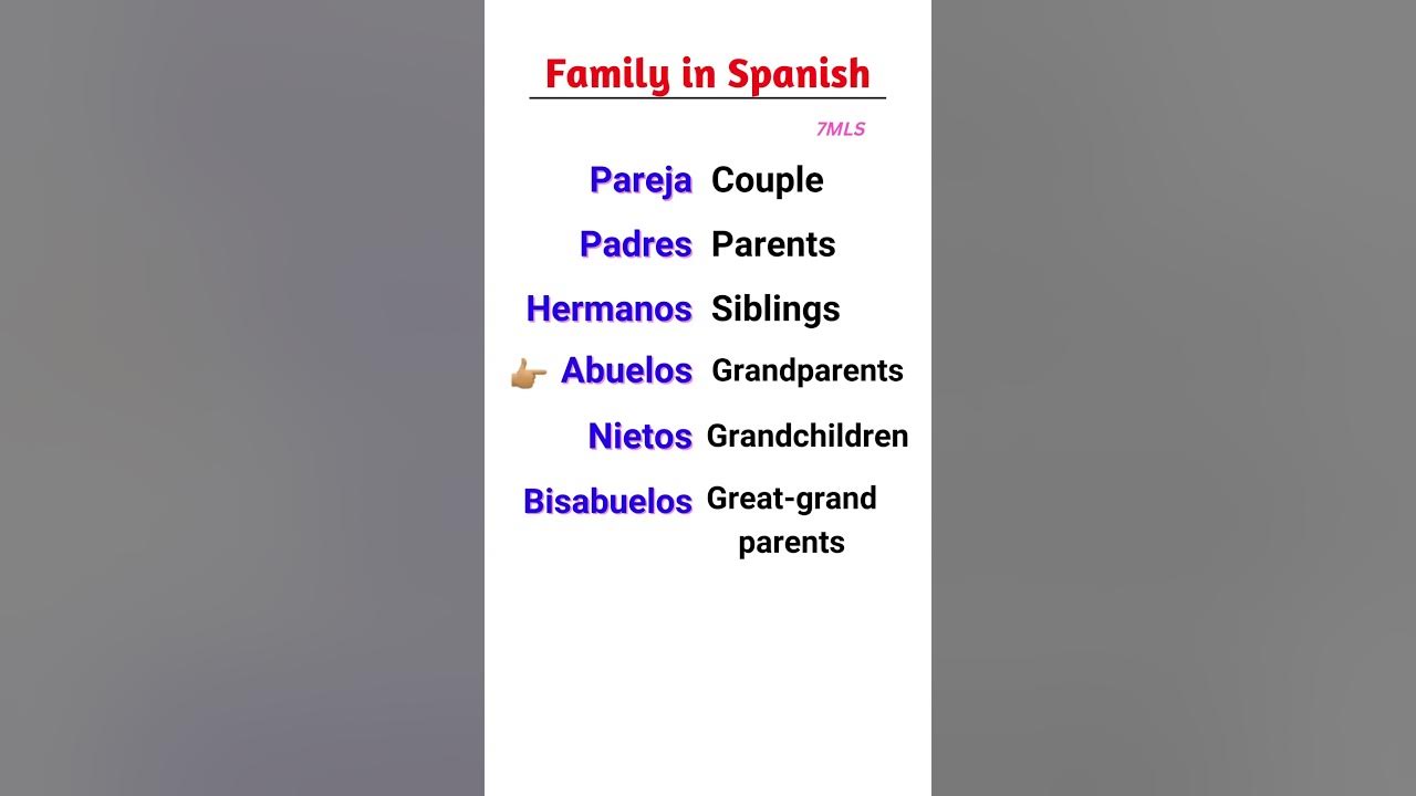 The Family in Spanish| Learn Spanish Vocabulary#shorts - YouTube