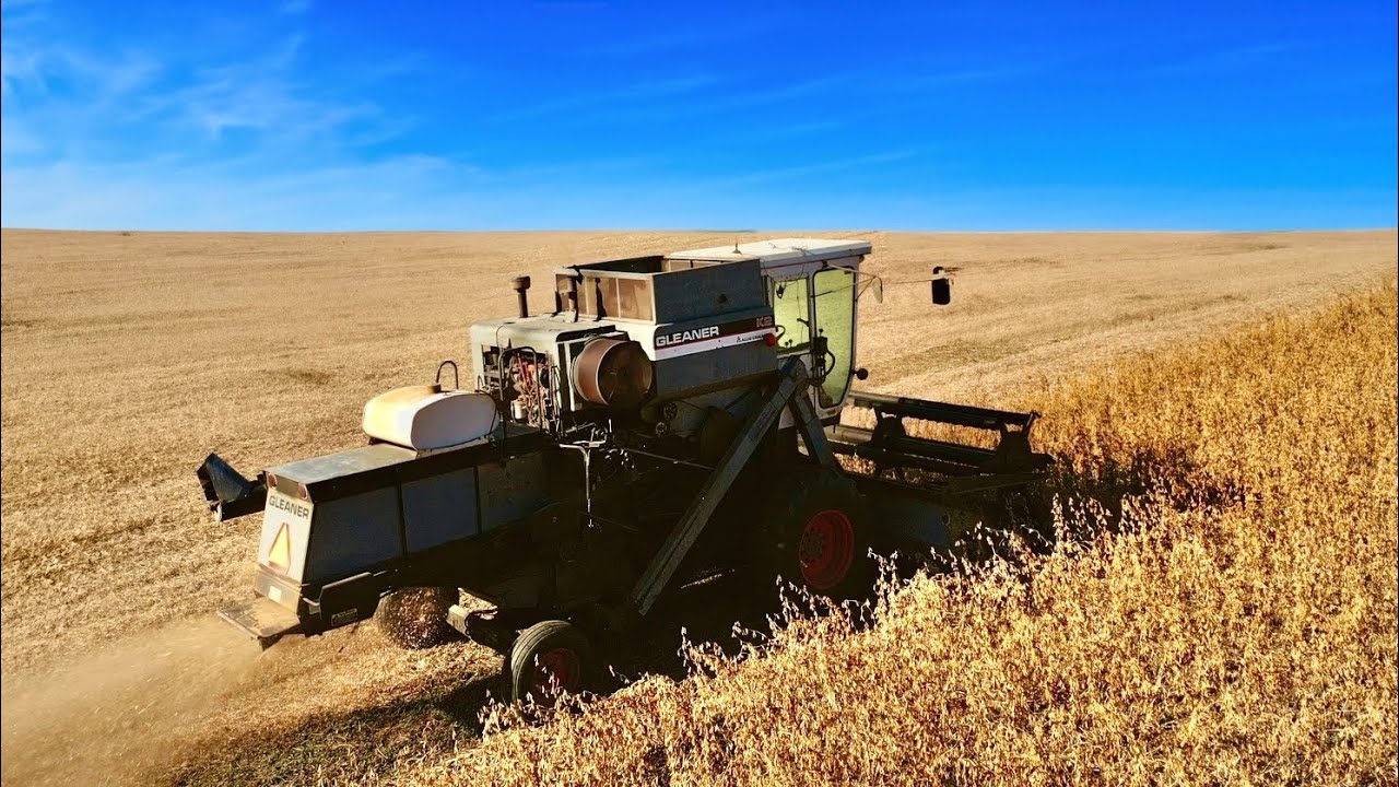Roaming Gleaner K2 Combines | Cinematic Drone Film - YouTube