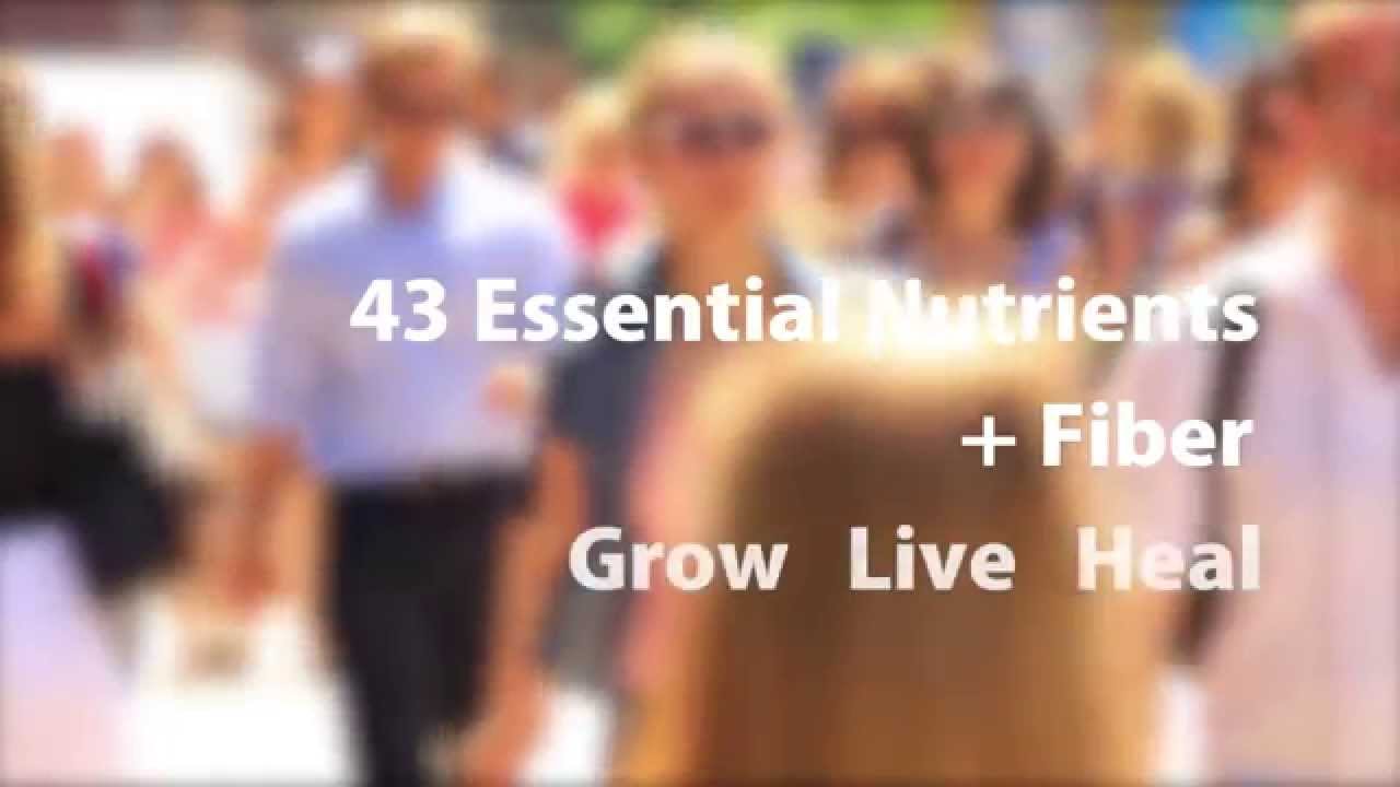 Yevo reversing 100 years of Processed Foods - YouTube