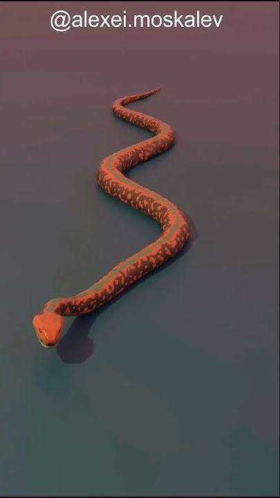 3d Blender snake slithering animation, armature rig #shorts, #animation ...
