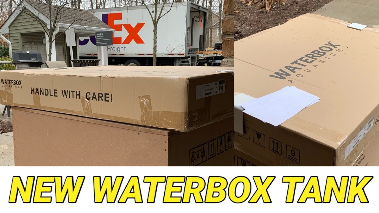 New Waterbox Tank! - YouTube