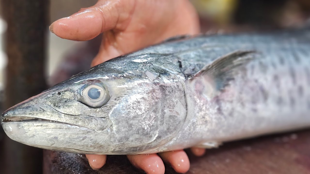 LIVE KING FISH CUTTING SKILLS 2023 - YouTube