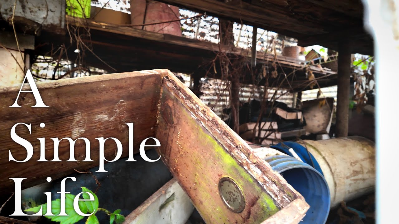 Reclaiming The Over Grown Garden: Transforming our 100 year old farm ...