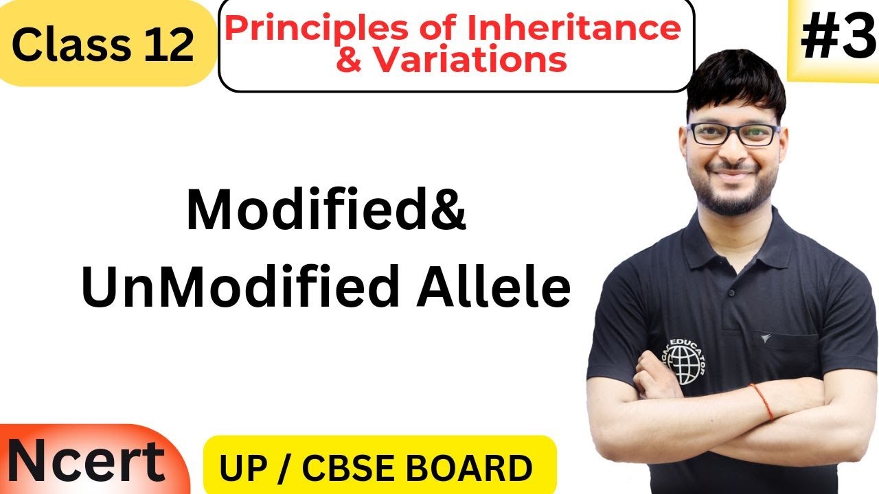 Modified And Unmodified Allele | Class 12 Biology | NCERT PATTERN ...