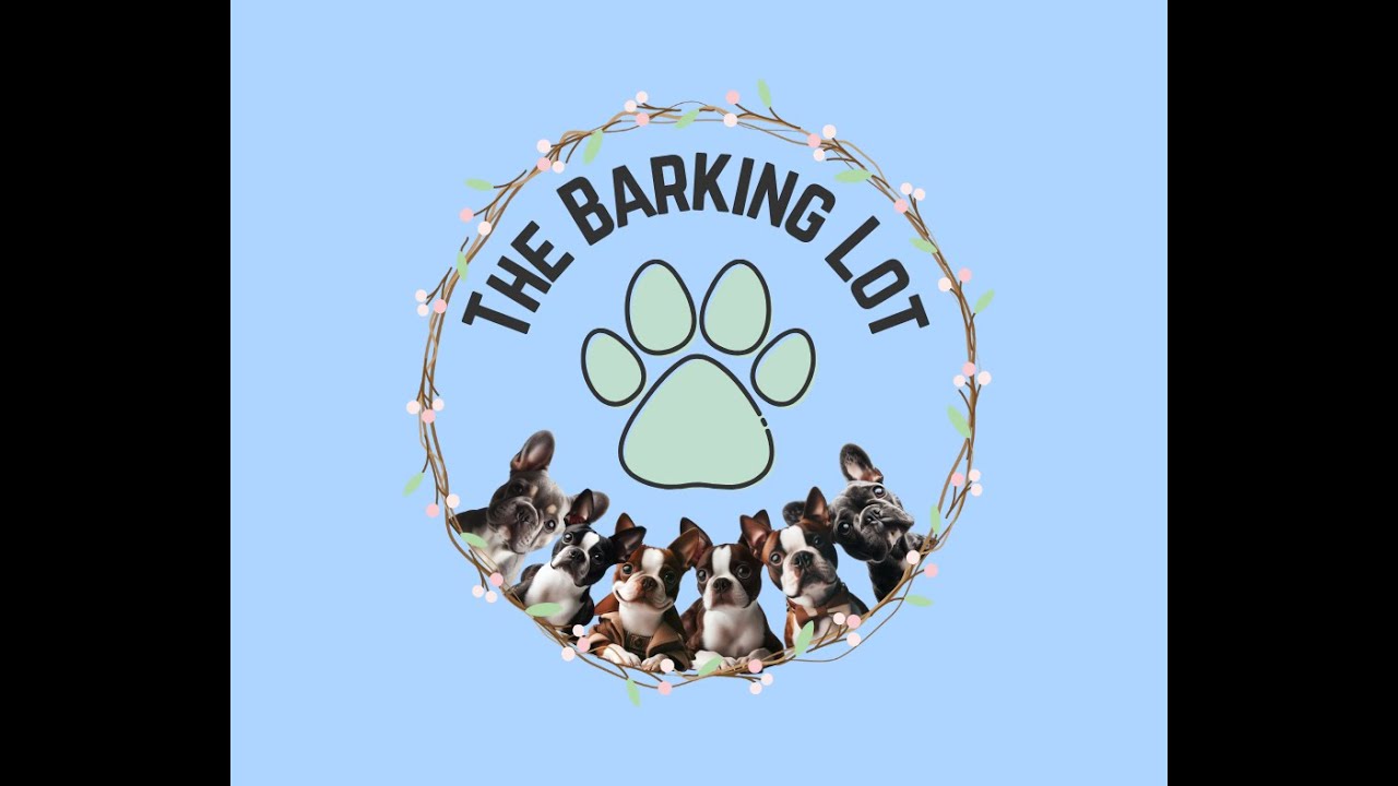 Welcome to The Barking Lot - YouTube