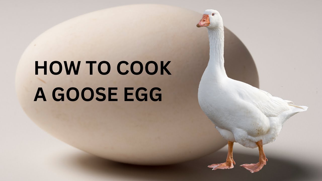 How I cooked a goose egg in France. Как приготовить гусиное яйцо. #egg ...