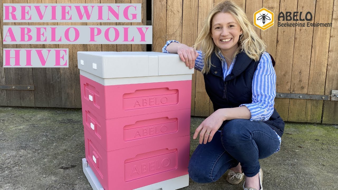Reviewing And Unboxing Abelo's Poly Hive - YouTube