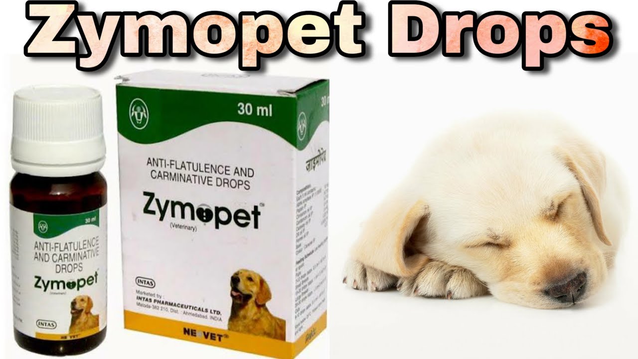 Zymopet For Dogs || Dog Digestive System || Happypet - YouTube