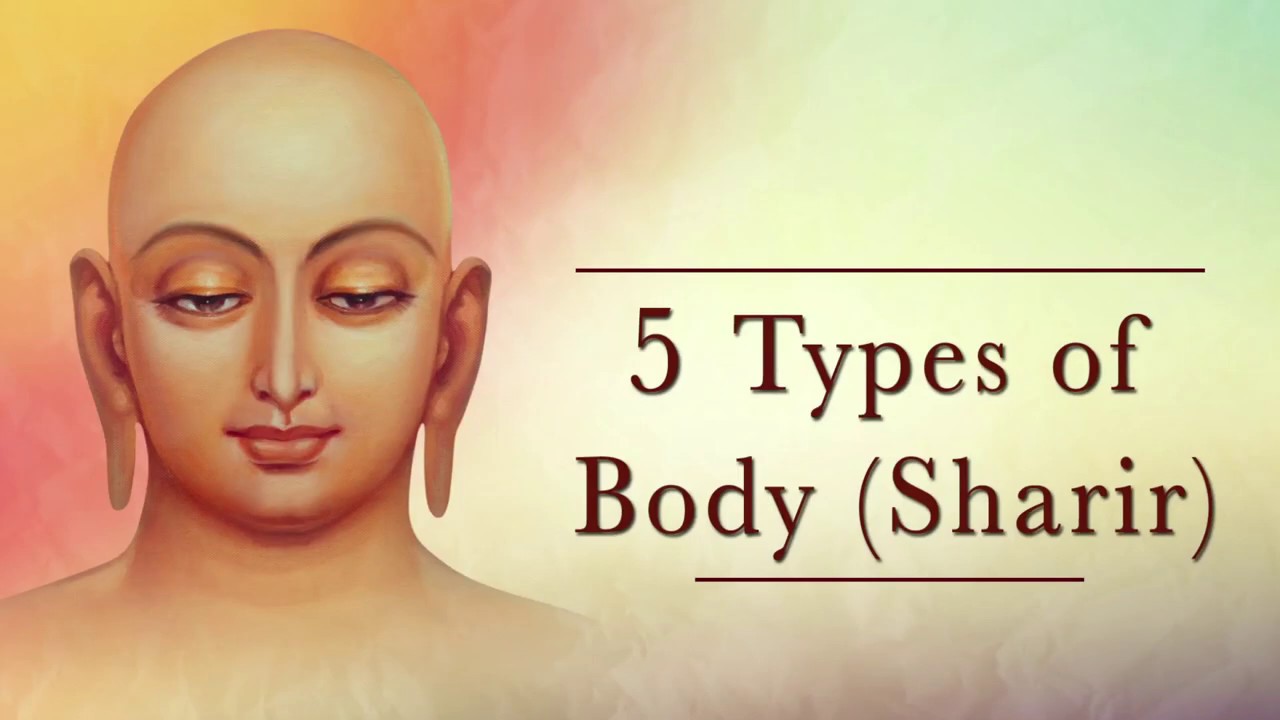 Day 26 | My Connection with the Body - 5 Body Types |Param Gurudev Namramuni MS|Jainism Study ...
