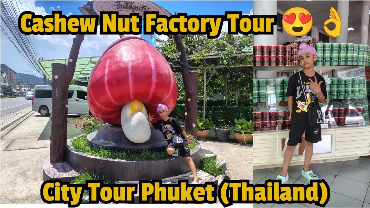 Cashew Nut Factory Tour || Phuket || Thailand || City Tour || - YouTube