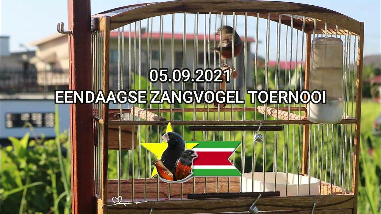 EENDAAGSE ZANGVOGEL TOERNOOI | STICHTING ZANGVOGEL VRIENDEN VAN ...