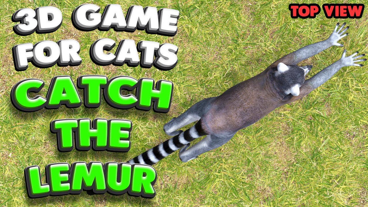 3D game for cats | Catch the LEMUR (top view) | 4K, 60 fps, stereo ...