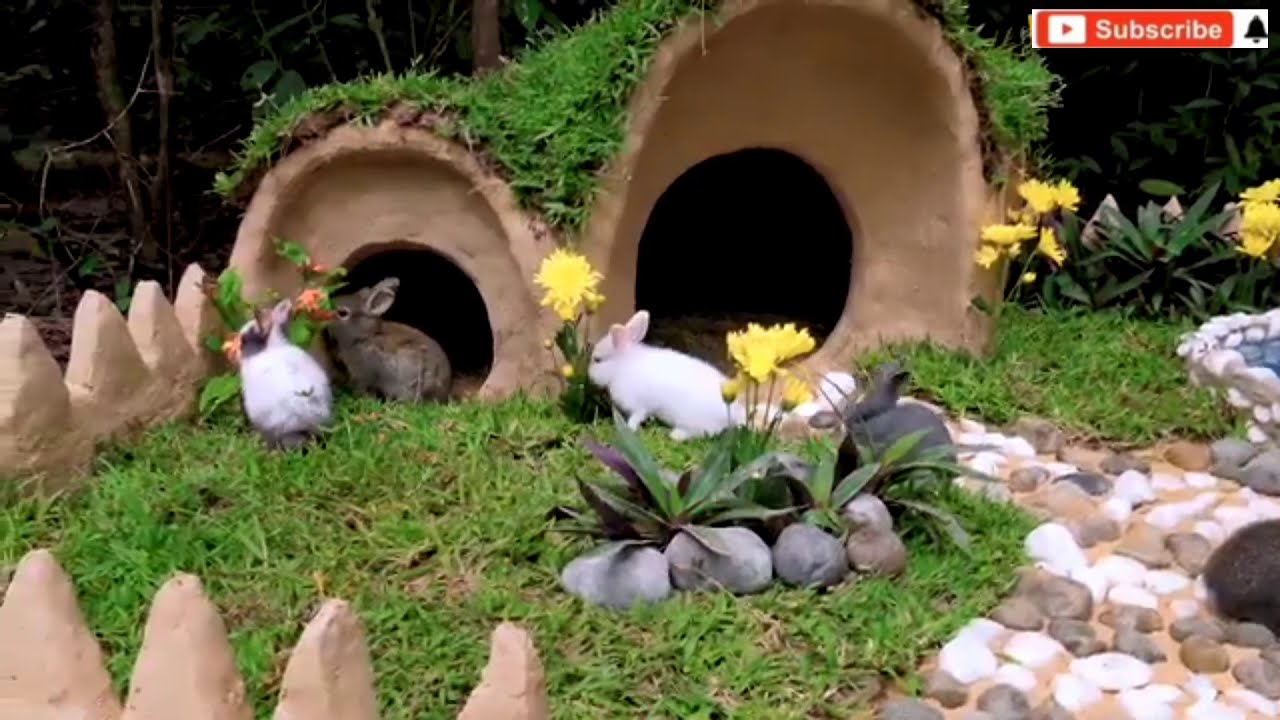 DIY RABBIT HOUSE | Membuat Rumah Kelinci yang keren - YouTube