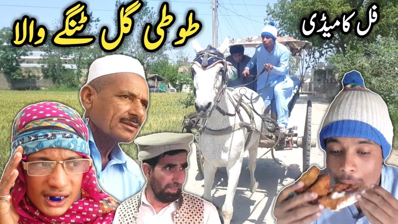 Tuti Gull Tangy Wala || Pashto New Funny Video 2021 By Tuti Gull Vines ...