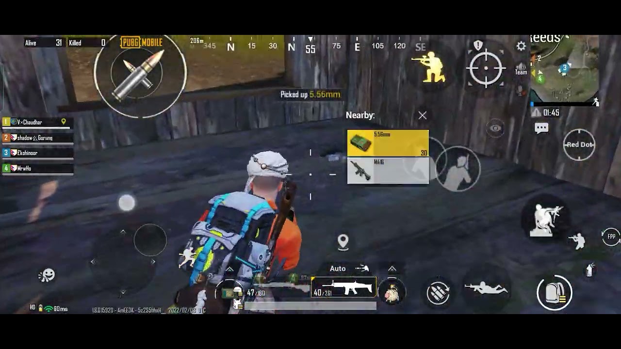 miss chicken no edit video real video - YouTube