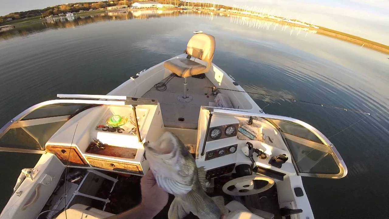 30 inch walleye - YouTube