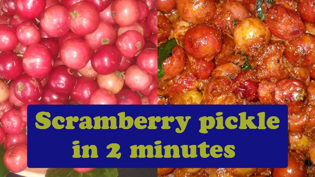 Scramberry Pickle || Loobikka achar |Lubikka/Lavalolikka Achar ...