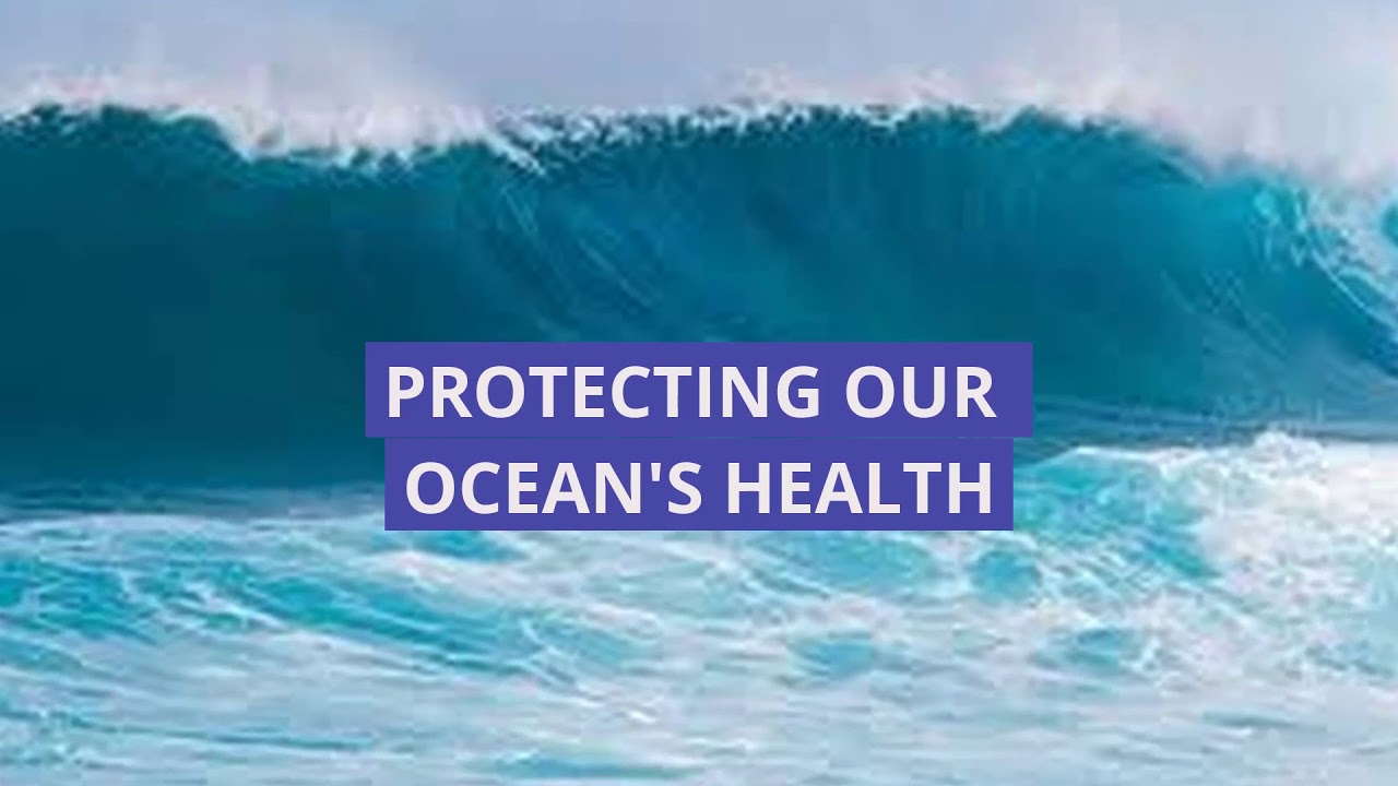 Surfrider Foundation Promo - YouTube