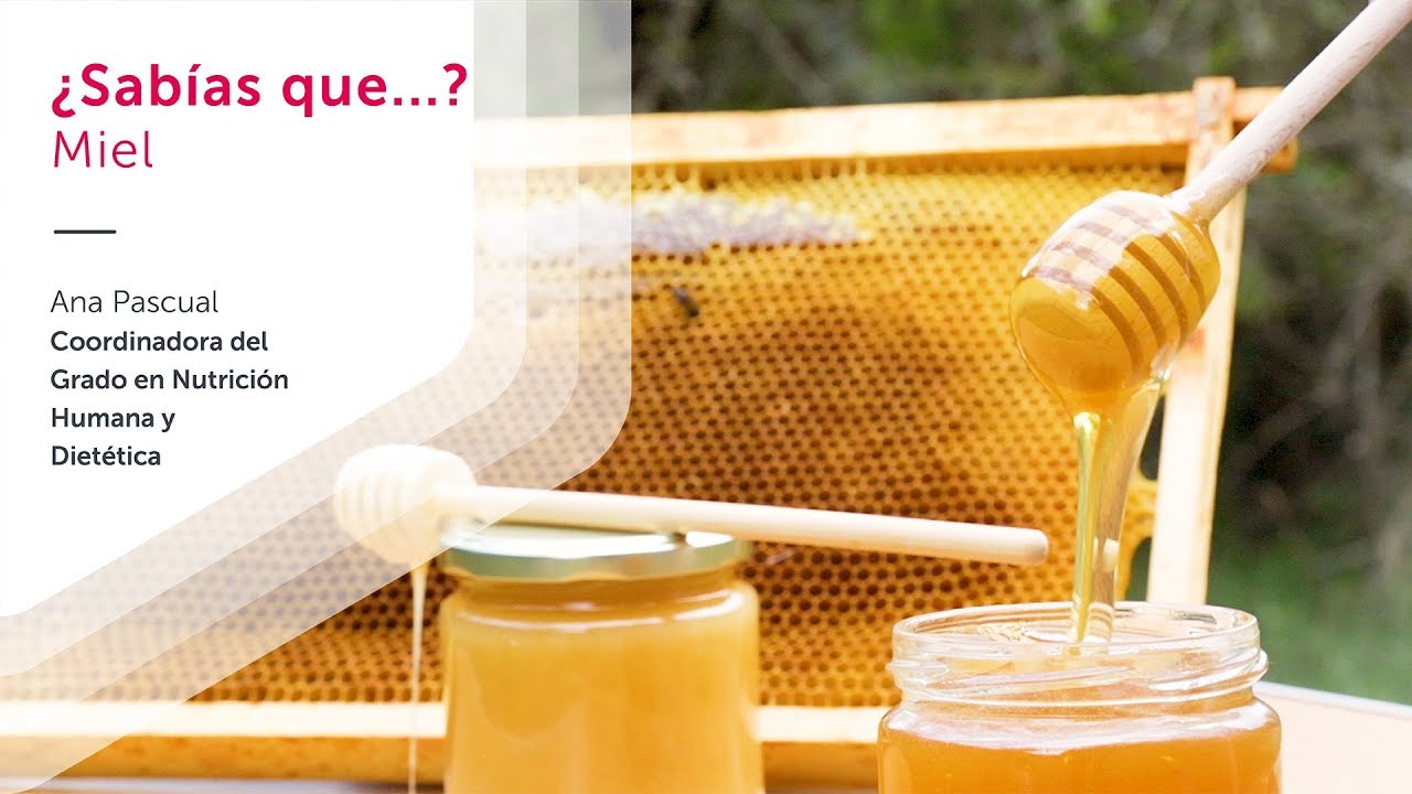 ¿#SabíasQue...? La calidad de la miel - YouTube