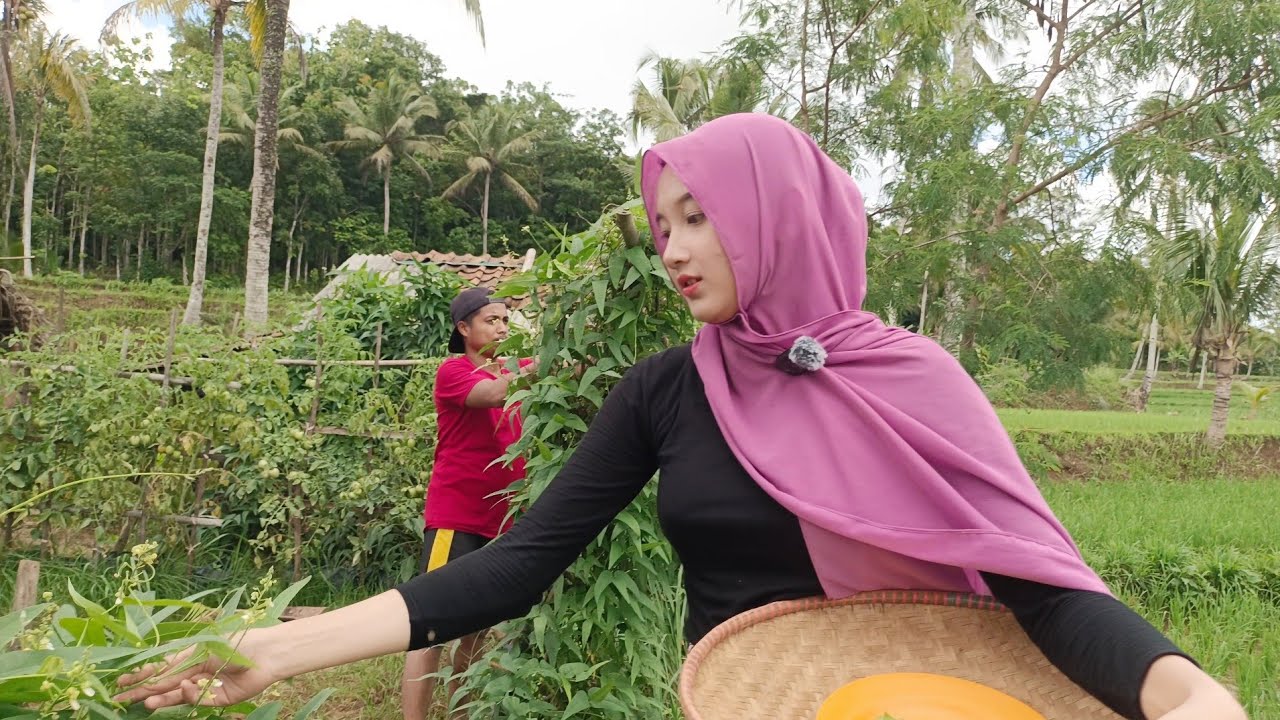 NENG PUNKY GADIS DESA CANTIK ALAMI, METIK SAYURAN DI KEBUN BARENG A RIZWAN - YouTube