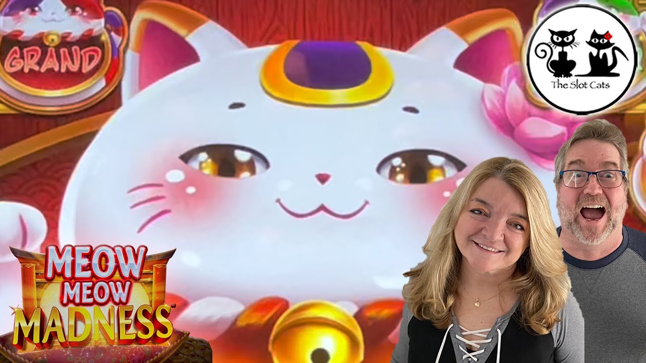 PLAYING SOME SLOTS!CLUCK CLUCK CASH, MEOW MADNESS, CHICKEN & FOX ...