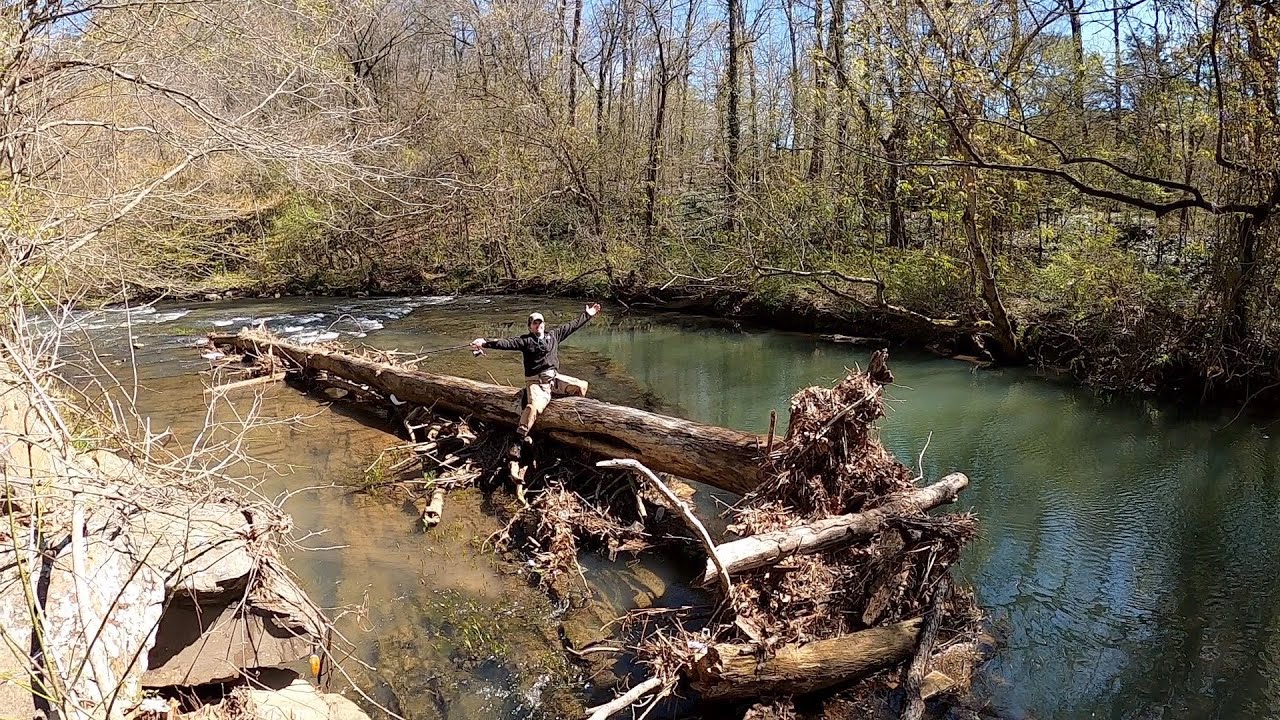 Tallapoosa Bass, Cahaba Bass and Warrior Bass with Dr. Andrew Taylor ...