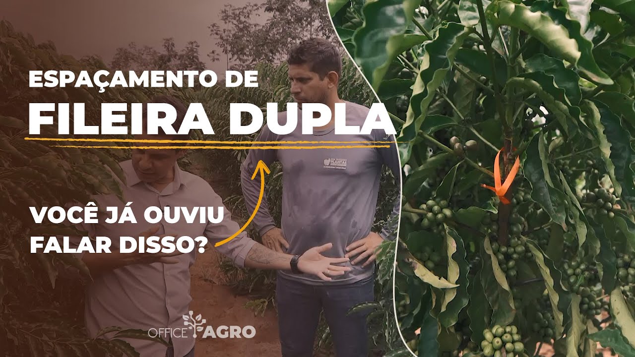 ESPAÇAMENTO DE FILEIRA DUPLA NO CAFEEIRO, FUNCIONA ? - YouTube