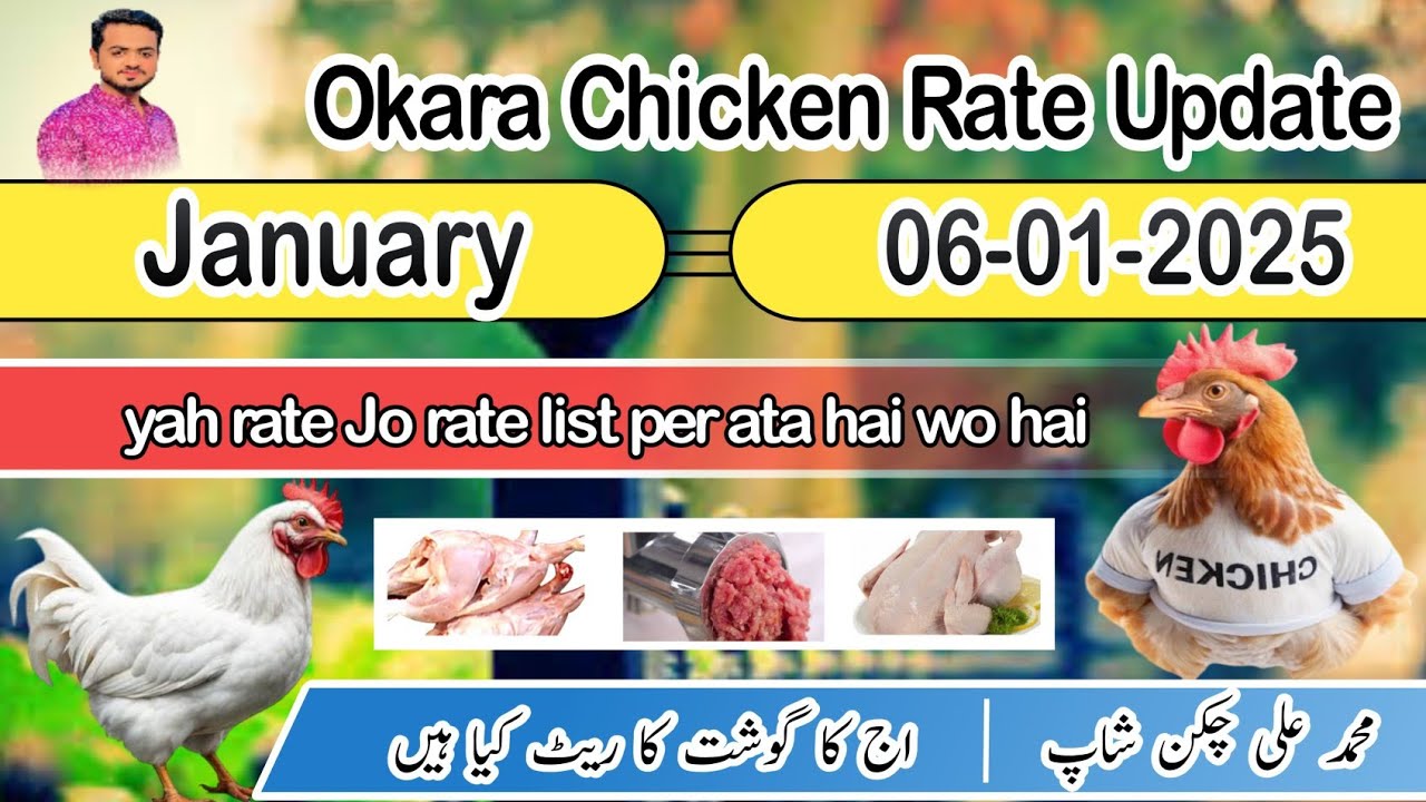 How to chicken rate information aaj chicken ka rate kya hai #okarapoint ...
