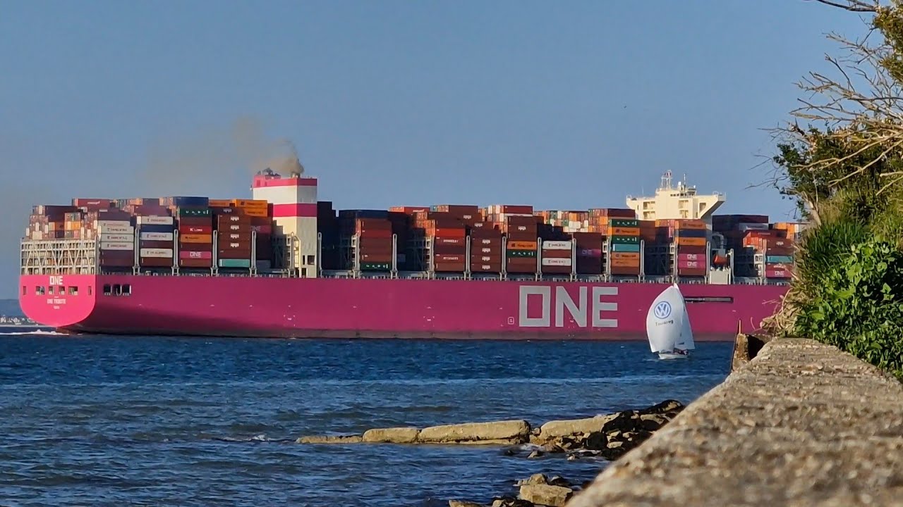 Dont see that every day! Pink container ship! - YouTube