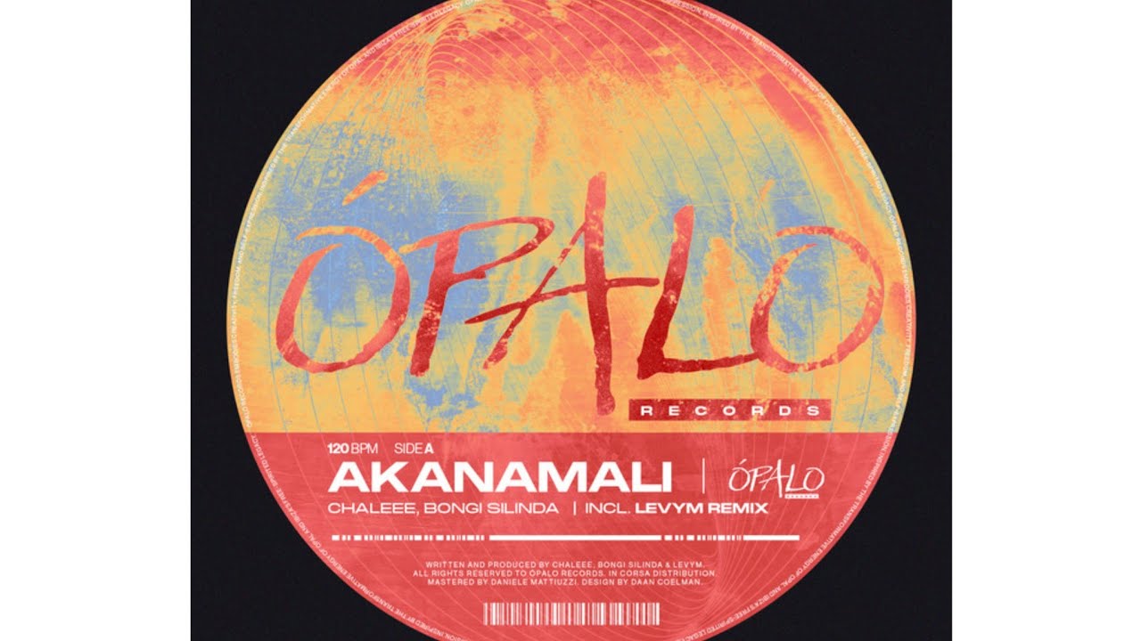 LevyM, Chaleee, Bongi Silinda - Akanamali (LevyM Extended Remix) - YouTube