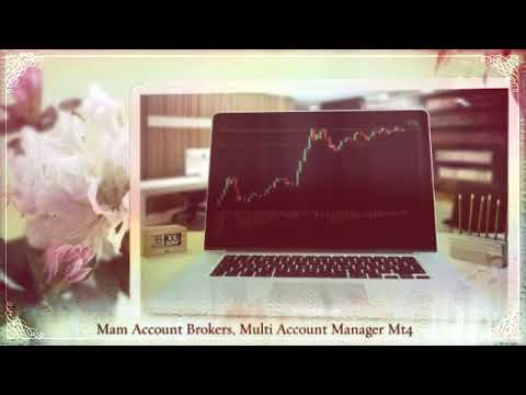 All You Need To Know About The Mam Account Mt4 - YouTube