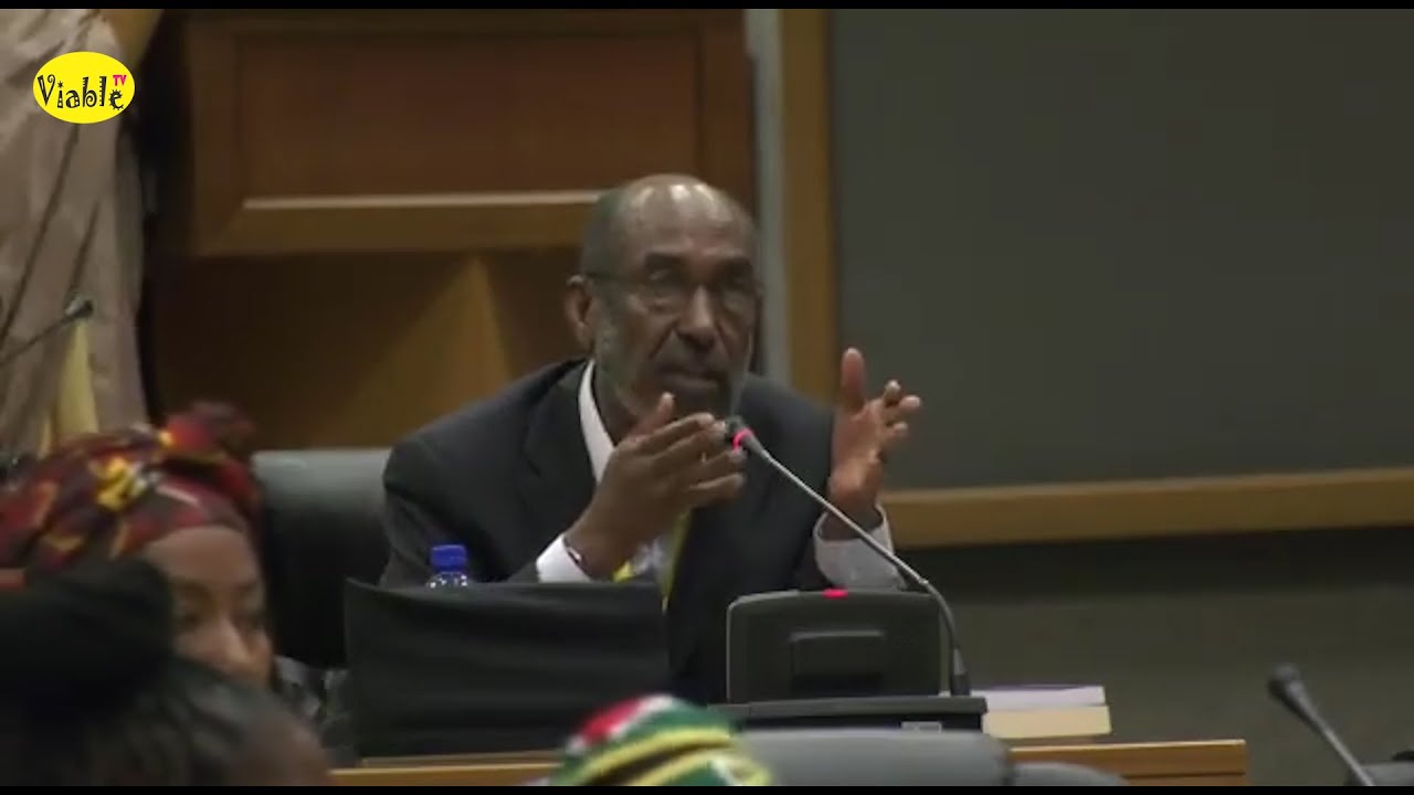 Meet the New Voice of Africa, Somaliun Scholar, Writer and Professor ...