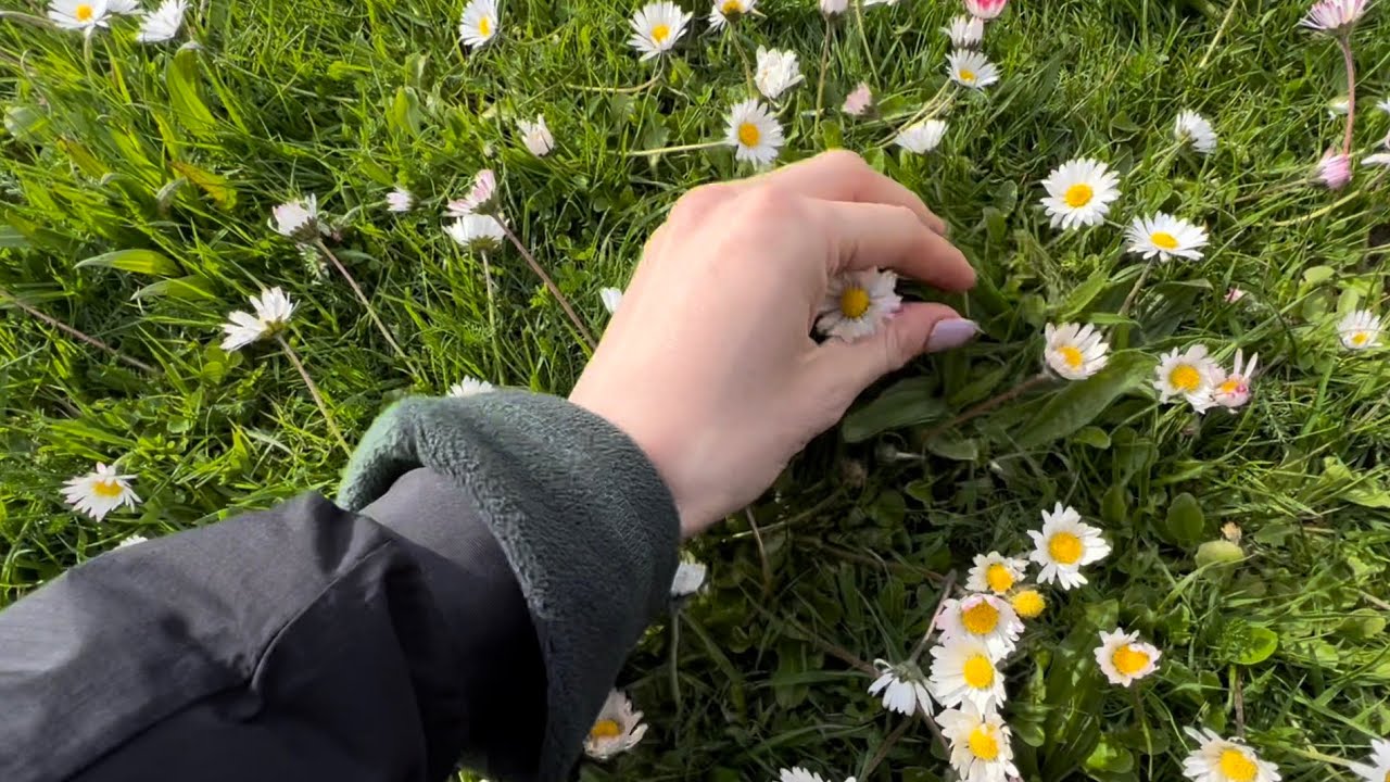 outdoor asmr w/ binaural triggers, relaxing scenery, brushing grass ...