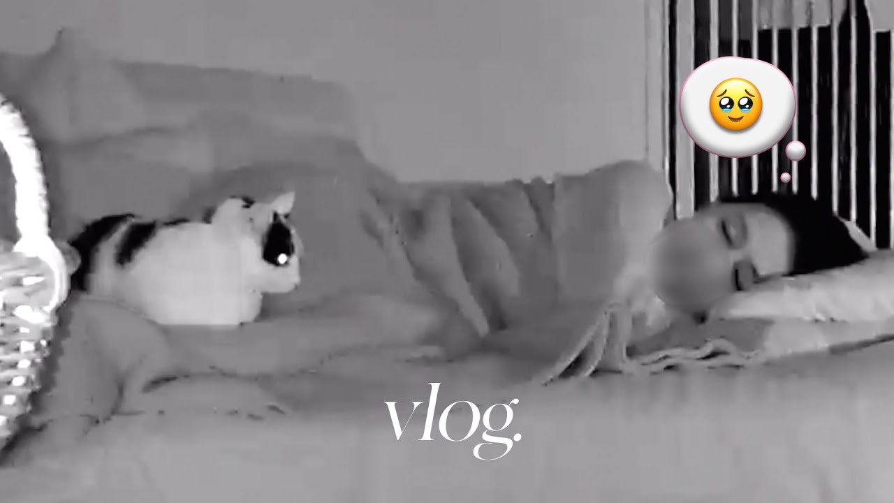 모네가 내 다리 위에 앉았다 🛌 천방지축 냥초딩∙본격 합사 준비🚪 집사 일상 브이로그 Vlog Youtube