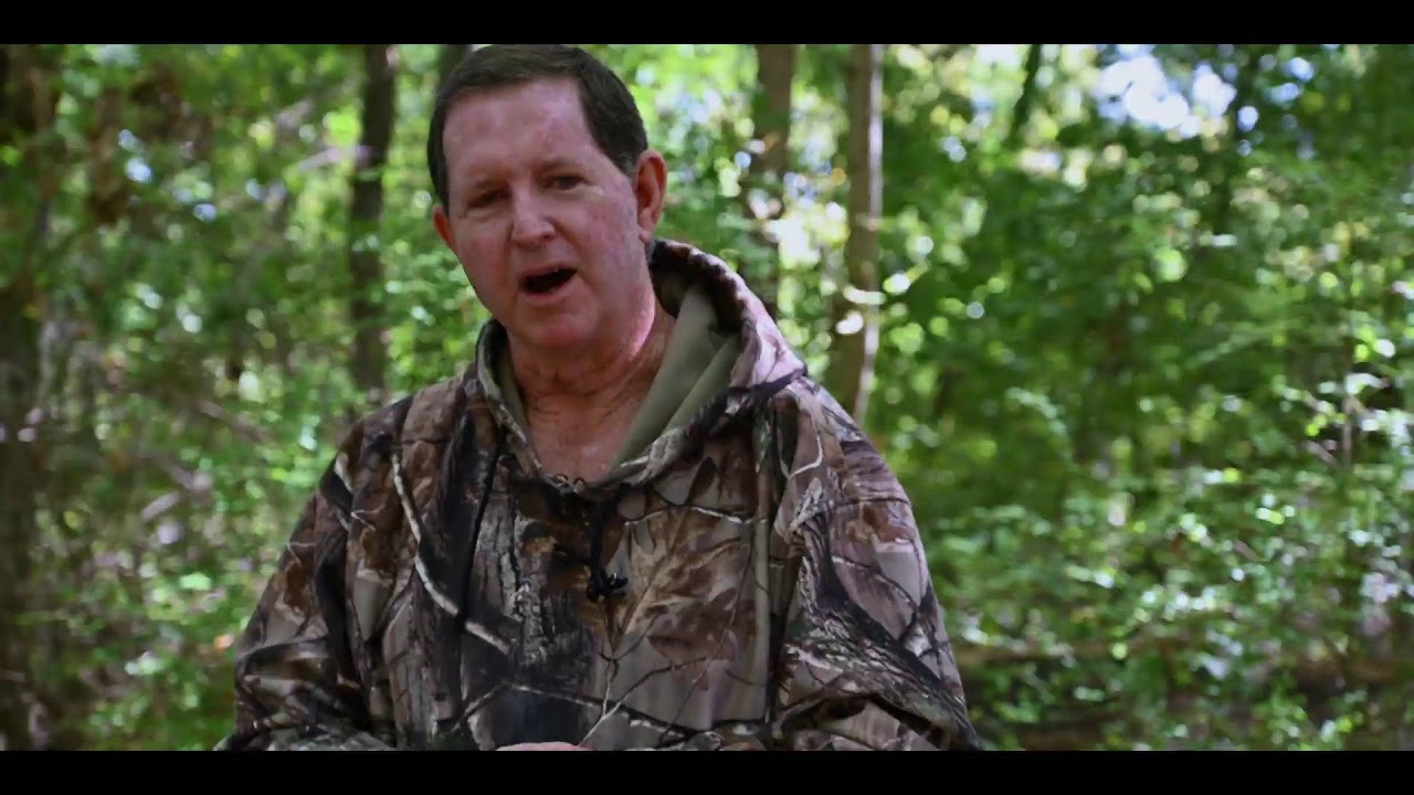 Wild Side - Episode 24 - See - YouTube