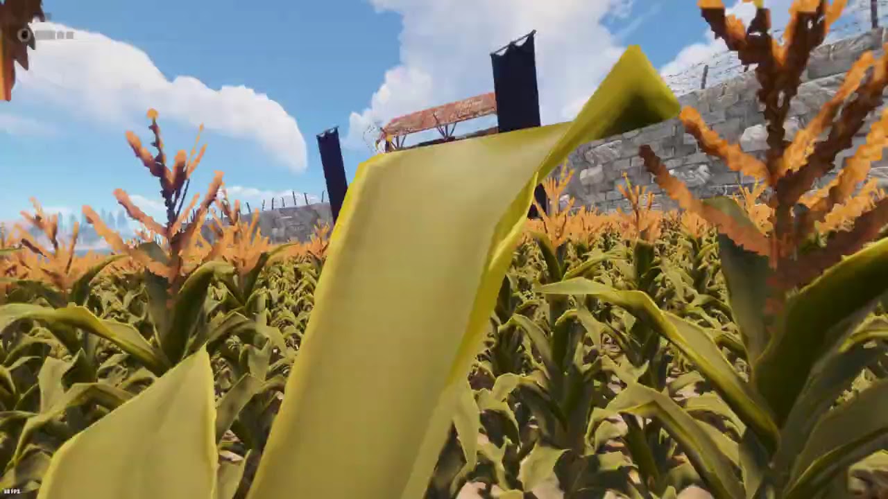 9k corn in Rust - YouTube