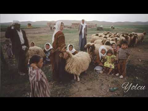 Arapça atebe | ترف لا تدوس فوق القلب.