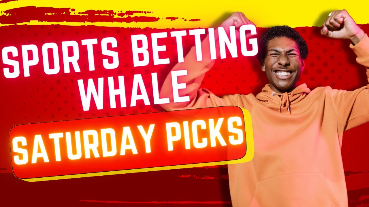 Sports Betting Whale Picks for Saturday, November 16, 2024 - YouTube