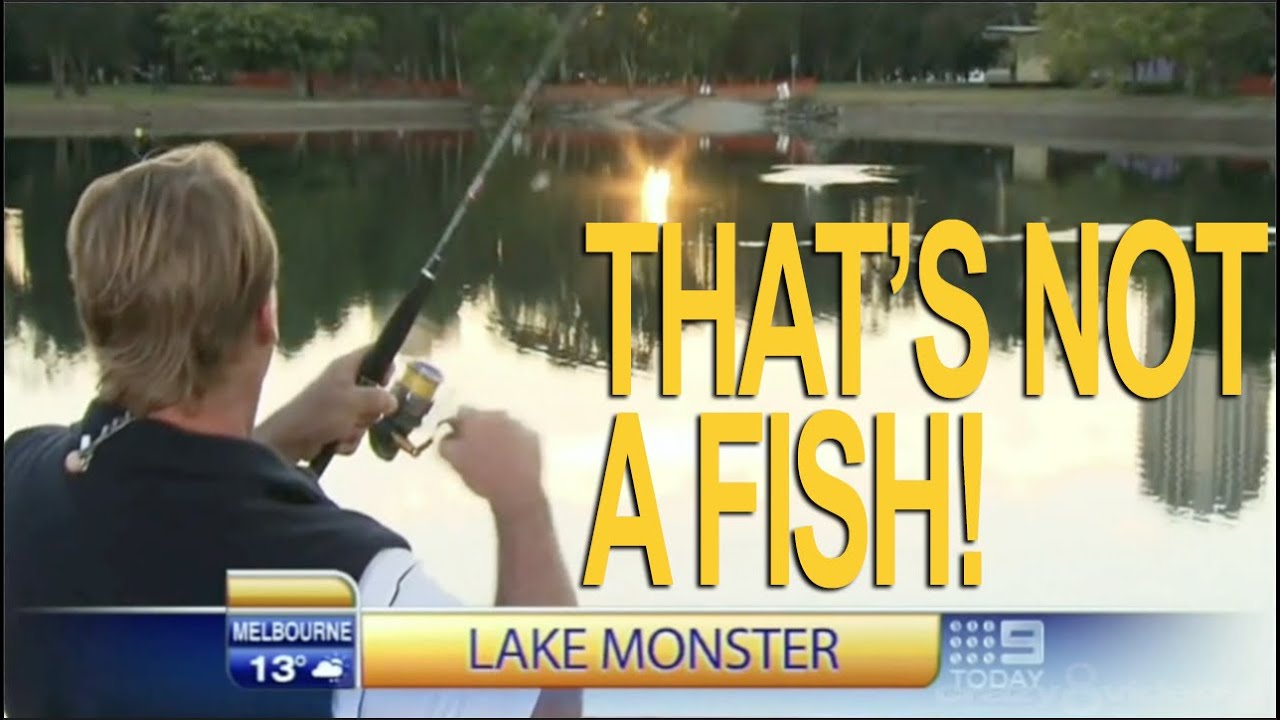 REPORTER'S SHOCKING CATCH! - YouTube