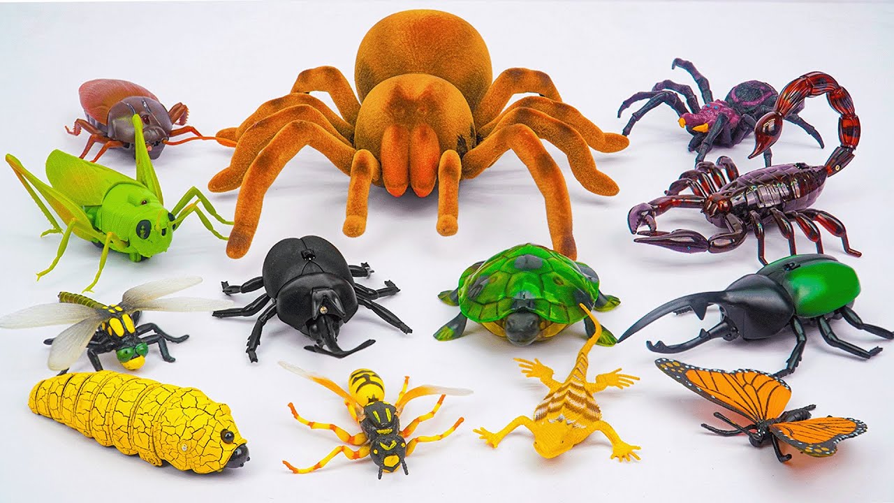 ZURU ROBO ALIVE COLLECTION | UNBOXING Robot Tarantula, New Robo Alive ...